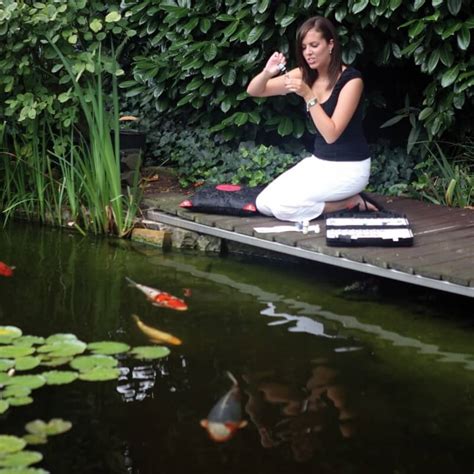 Anti Phosphate Bassin Jbl Phosex Pond Direct L