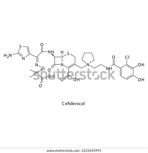 Cefiderocol Flat Skeletal Molecular Structure 4th Stock Vector Royalty Free 2222645991