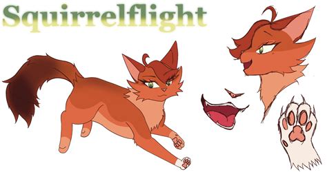 Squirrelflight Design By Fyuifo1028 On Deviantart