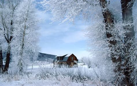 Hoarfrost Wallpapers Wallpaper Cave