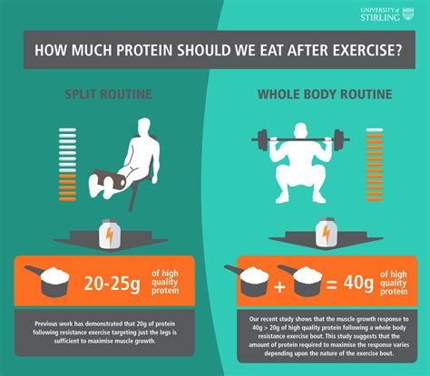 How Much Protein You Need After A Workout Mens Journal
