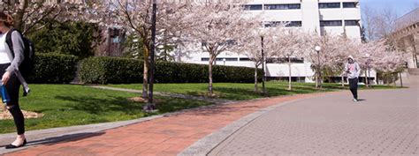 Data Classification Procedure Information Security Office