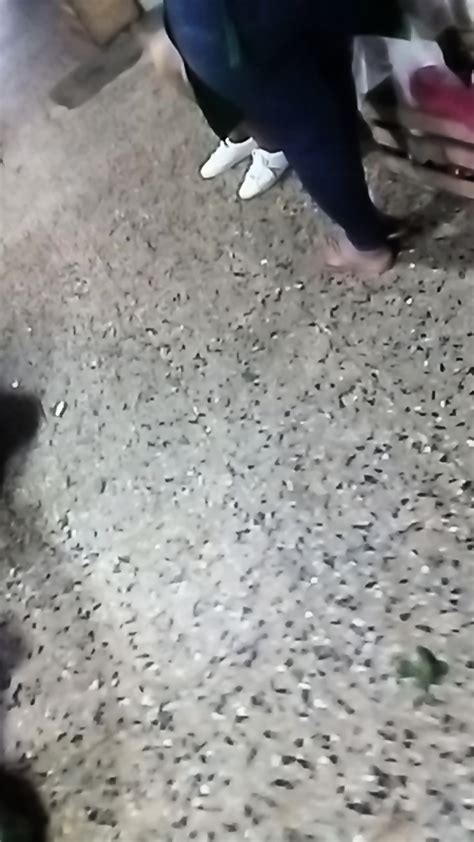 Latina De Culo Gordo Maduro