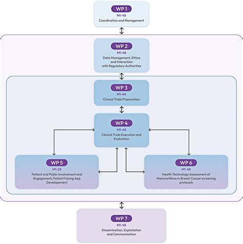 Roadmap MammoScreen Project