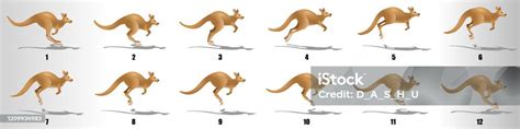 Kangaroo Run Cycle Animation Frames Loop Animation Sequence Sprite