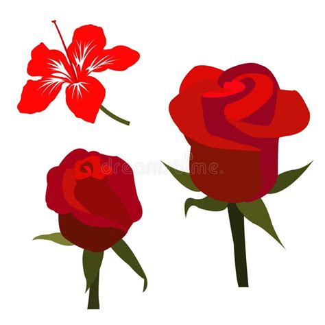 Beautiful Flowers Vector Art Work Designs Bundle Stock Vector