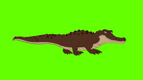 Walk Cycle Animation Loop Videos And Hd Footage Getty Images