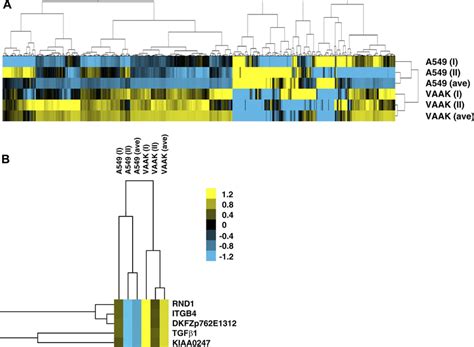 Hierarchical Clustering Of Dysregulated Probe Sets A Overall Download Scientific Diagram