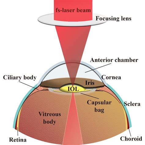 Schematic Representation Of The Modification Of The Refractive Index Of Download Scientific