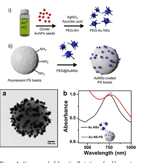 Figure 1 From Gold Nanostar Coated Polystyrene Beads As Multifunctional Nanoprobes For Sers