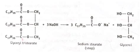 Mcat Biochem Flashcards Quizlet