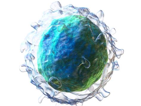 Moxetumomab Pasudotox For The Treatment Of Hairy Cell Leukaemia