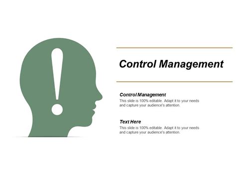 Control Management Ppt Powerpoint Presentation Infographic Template