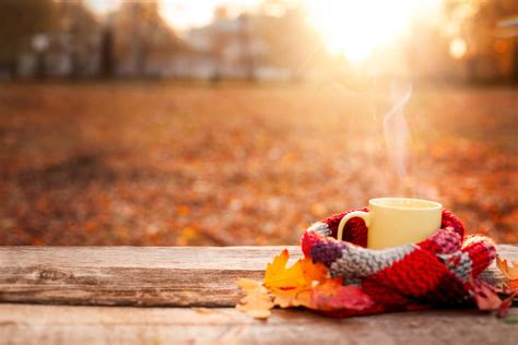 Rutu Charya A Seasonal Routine For A Healthy Fall Svastha Ayurveda