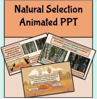 AP Biology Complete Unit Animated PowerPoint Bundle By Hey Now Science