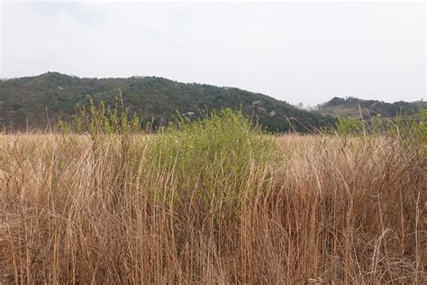 10개 이상 무료 숲속 오솔길 및 오솔길 사진 Pixabay