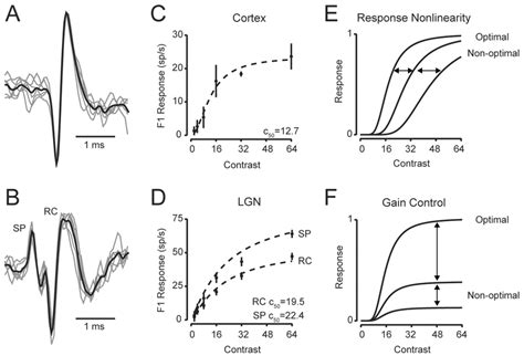 Contrast Response Curves Along The Visual Pathway A Example