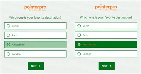 custom css pointerpro