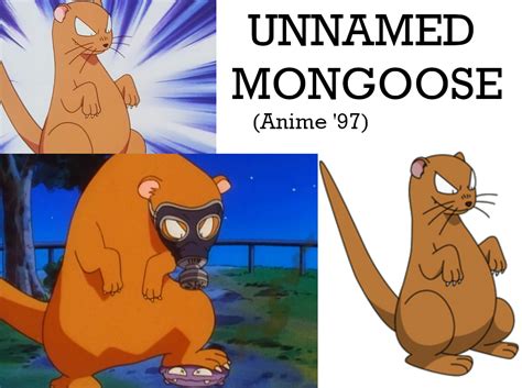 Unnamed Mongoose Collage By Auroraobfuscate On Deviantart