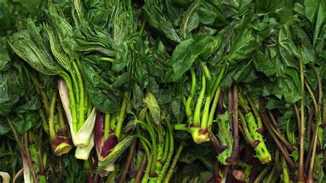 봄에 무조건 먹어야 하는 보약나물 당뇨와 관절염이 사라져요 쉽고 간단하면서 맛 좋은 꿀팁 레시피💯 평생 써먹는 두릅 요리 만드는법🥇 두릅나물 맛있게 만드는법 두릅