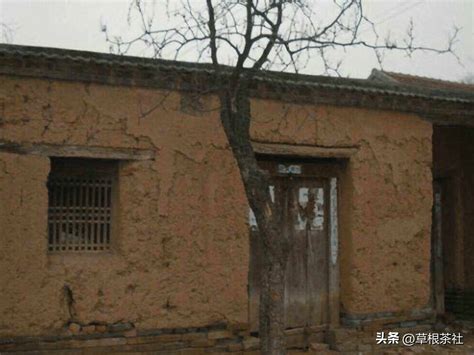 知青往事那天晚上他俩去老乡家偷梨第二天老乡送来一筐梨 海河 张家屯 郑云峰