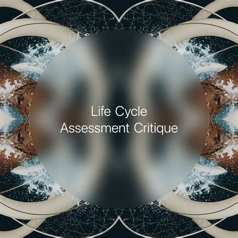 Life Cycle Assessment Critique → Term