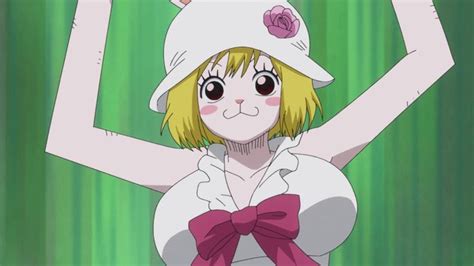 One Piece Carrot Tumblr Manga Anime Animação Anime