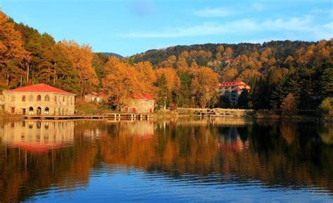 庐山枫叶 庐山枫叶图片大全 2020年庐山枫叶节 第3页 大山谷图库
