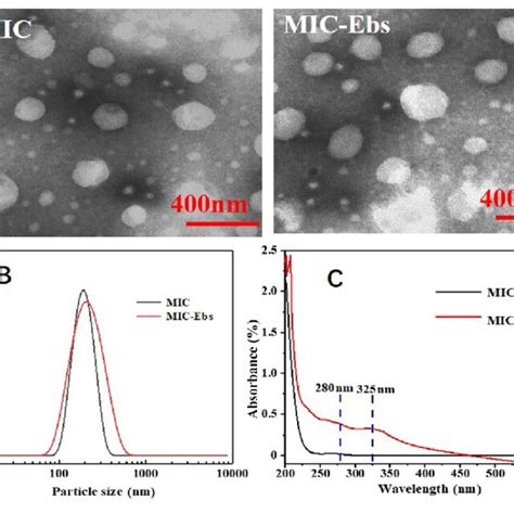 The Micellular Structure And Property Of Mic And Mic Ebs Note A The Download Scientific
