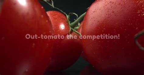 M Massoudi On Linkedin Agbiotech Crophealth Agtech