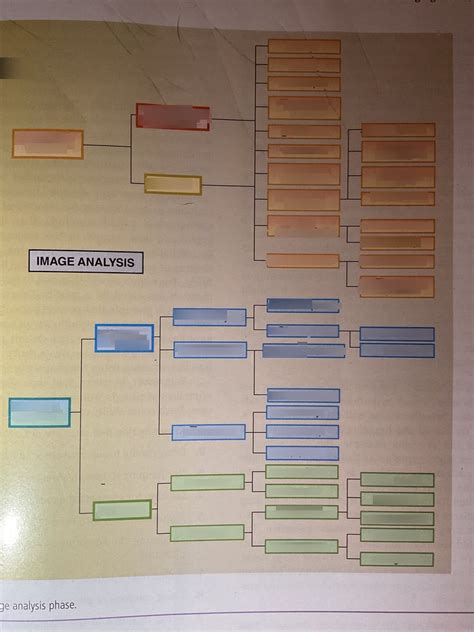 Image Analysis Phase Diagram Quizlet