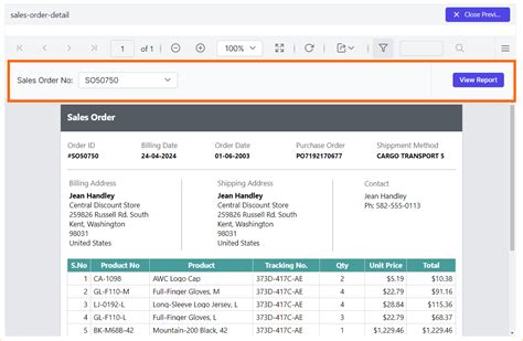 How To Customize The Parameter Panel Position In Bold Reports Designer Preview