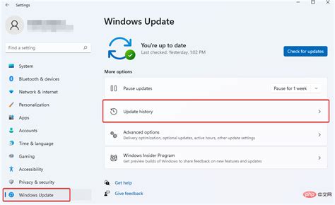 如何修复 Windows 11 中的 Memory Corruption Bsod 错误 常见问题 Php中文网