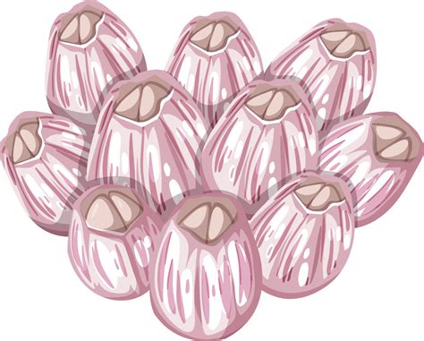 Barnacles In Cartoon Style On White Background 2706935 Vector Art At Vecteezy