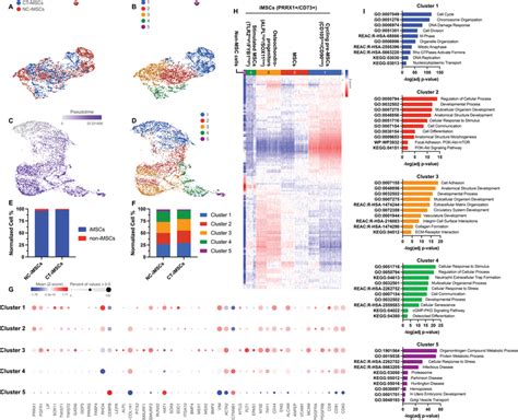 Imsc Heterogeneity In Development A Umap Projection Of Single Cell Download Scientific