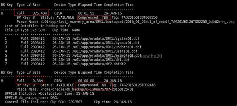 Oracle 11g Rman备份恢复 Nocatalogrman Nocatalog恢复测试 Csdn博客