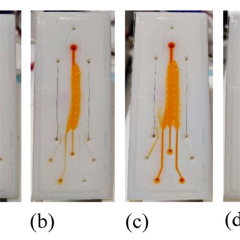 Optical Photograph Of The Buffer Flow Confinement Into The Separation Download Scientific