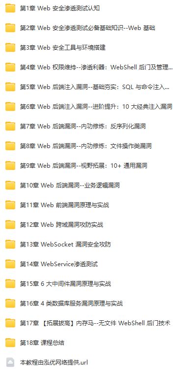 Web安全渗透测试 掌握绝大多数Web漏洞原理及攻防手段 泓优网络