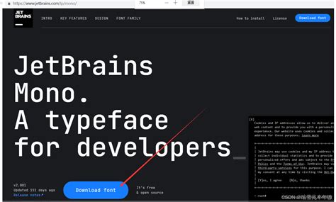 Idea 安装字体 安装jetbrains Mono字体idea字体下载 Csdn博客