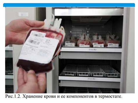 Анализатор крови. Обслуживание и ремонт - презентация онлайн