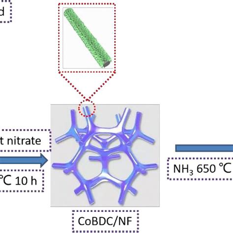 Schematic Diagram Of The Preparation Process Of CoBDC NF NH Download Scientific Diagram