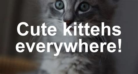 C Ch S D Ng Css Background Image Css Opacity M C Nh T Cho Trang Web