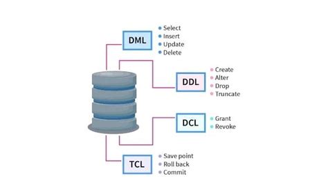 Salma Adel On Linkedin Ddl Dml Dcl Db Dbms Rdbms Sql Sqlserver