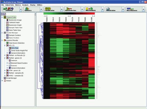 Hierarchical Clustering Of Molecular Level Data Based On Pearson Download Scientific Diagram