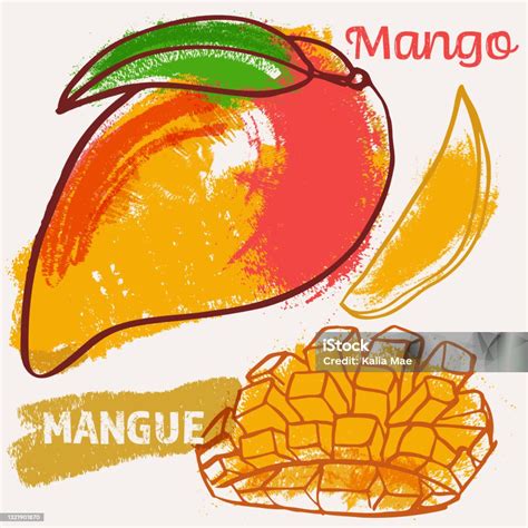 망고 라인 아트와 컬러 핸드 그린 벡터 일러스트레이션 거친 크레용 스트로크 낙서 에 A 표현 느슨한 색칠 공부 책 스타일 드로잉에 대한 스톡 벡터 아트 및 기타 이미지