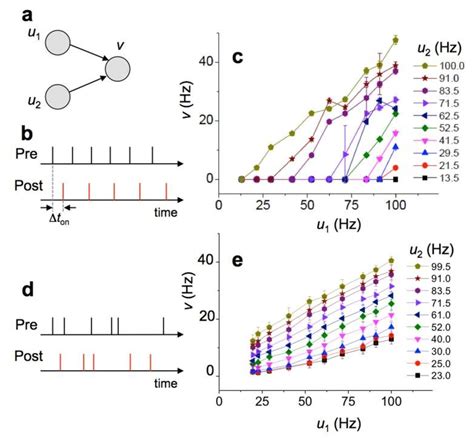 A Schematic Of Two Presynaptic Neurons Sharing A Single Postsynaptic Download Scientific