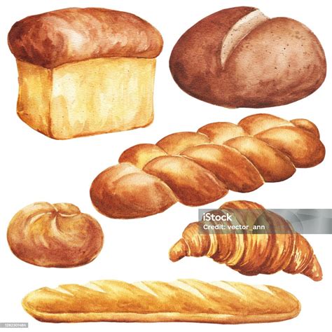 흰색 배경에 고립 된 손으로 그린 수채화 빵 세트 맛있는 베이커리 음식 일러스트 빵에 대한 스톡 벡터 아트 및 기타 이미지 빵 수채화 갈색 Istock