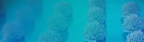 Dnbseq Technology Mgi Tech Leading Life Science Innovation Dnbseq Technology Mgi Tech Leading Life Science Innovation