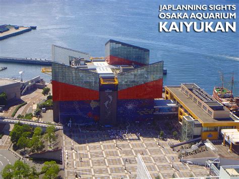 Japlanning Sights Osaka Aquarium Kaiyukan —
