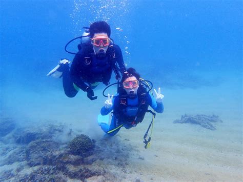 Abyss Supanddiving 対馬市観光デジタルマップ プラチナマップ